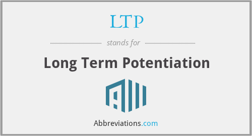 What does LTP stand for?