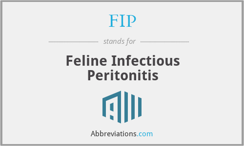 What does FIP stand for?