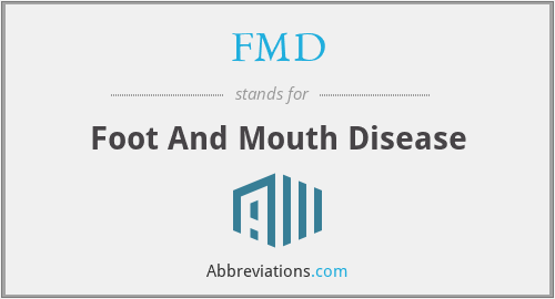 What does FMD stand for?