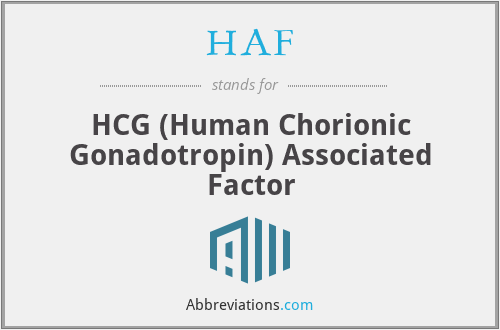 What does HAF stand for?