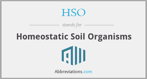 What does HSO stand for?