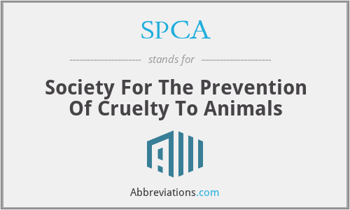 What does SPCA stand for?