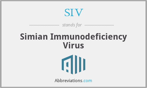 What does SIV stand for?