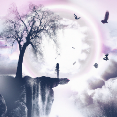 Immortality by Clare Harner