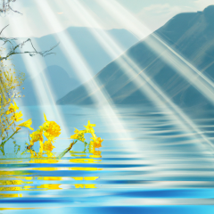 Daffodils by William Wordsworth