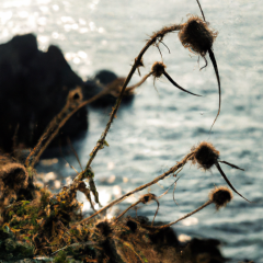 Identity by Julio Noboa Polanco