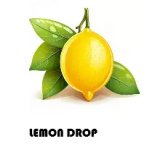 Lemon Drop Music Fans