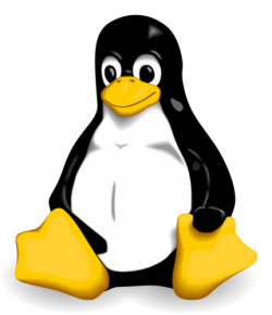 The Linux Symbol Symbol