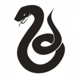 Snake Symbol