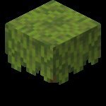 Minecraft Azalea Plant Block Symbol