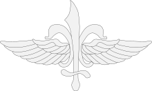 Sayeret Matkal Symbol