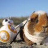 Insufferable Synonyms & Antonyms | Synonyms.com